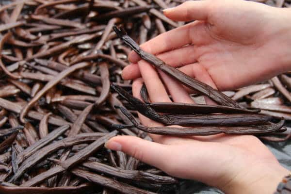The Best Vanilla in the World & Cooks Vanilla
