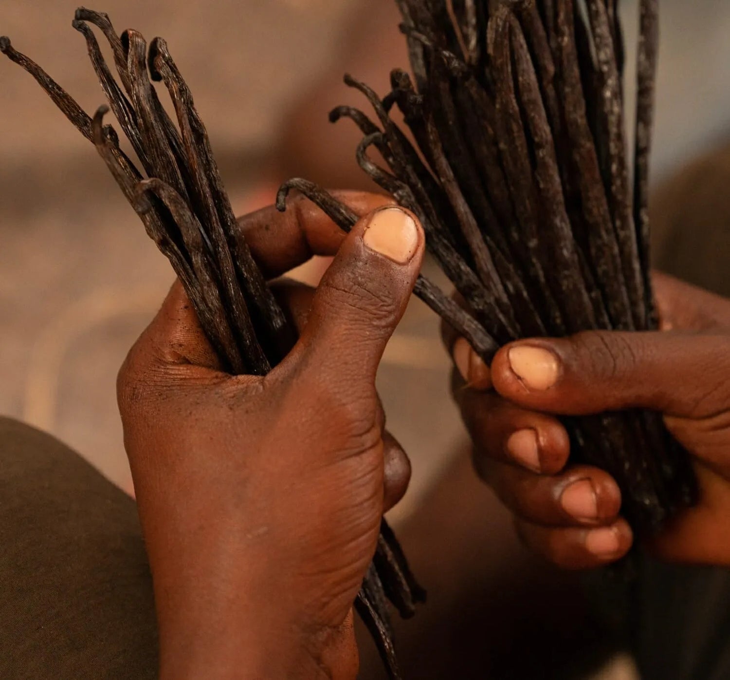 Bean to Bottle & Cooks Vanilla